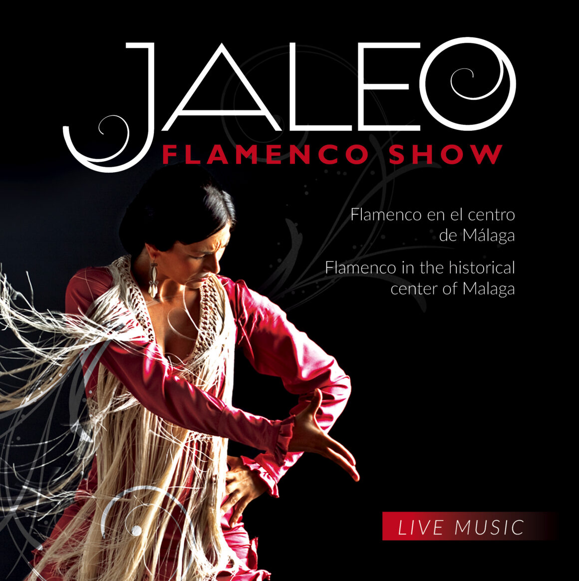 JALEO: Flamenco Show | Museo Interactivo de la Música